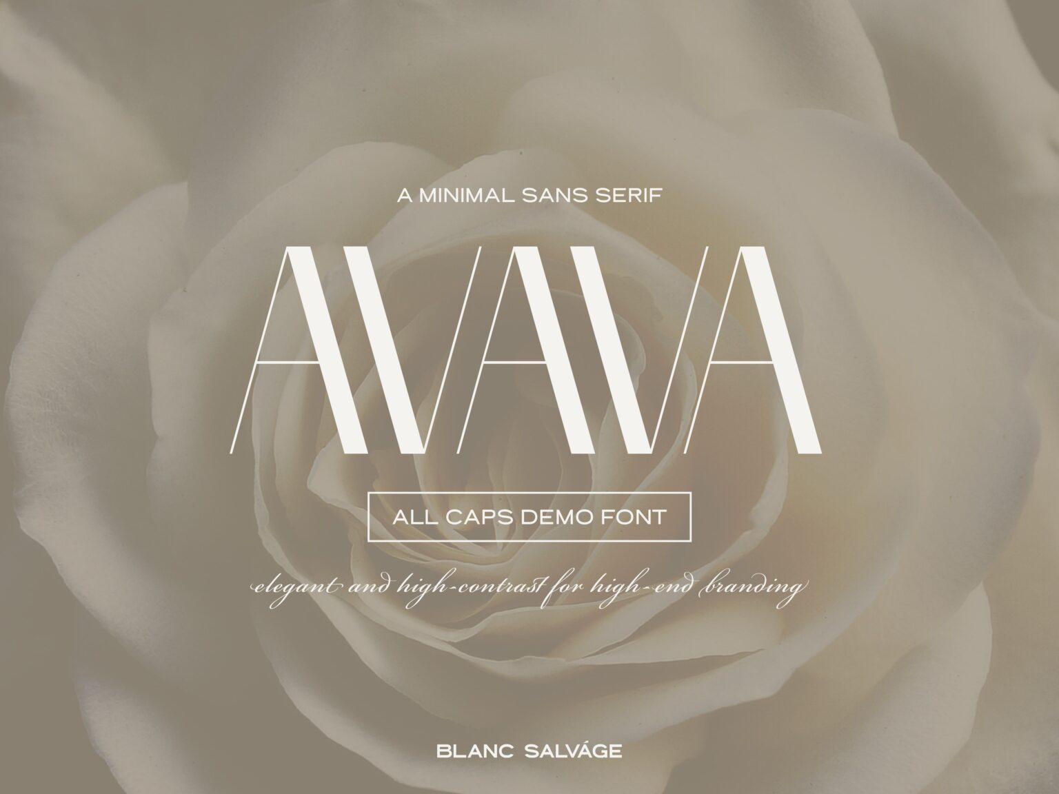 Shop All Fonts — Blanc Salváge