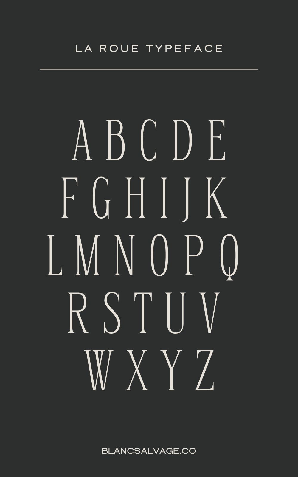 Luxury Brand Design Inspiration: Font Customizations with La Roue ...